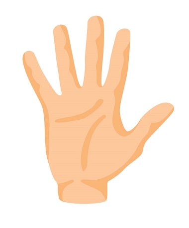 El Alfabeto Español - Deletreo Y Pronunciación