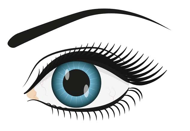 El Alfabeto Español - Deletreo Y Pronunciación