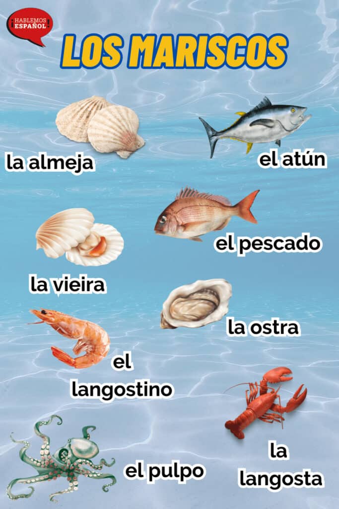 How to Order Food in Spanish🍷🥘 [+AUDIO & VIDEOS]