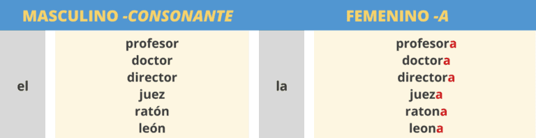 Master Masculine and Feminine in Spanish - Complete Guide