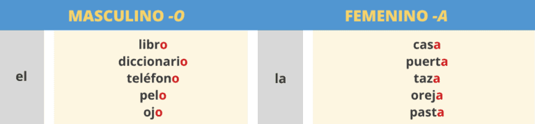 Master Masculine and Feminine in Spanish - Complete Guide