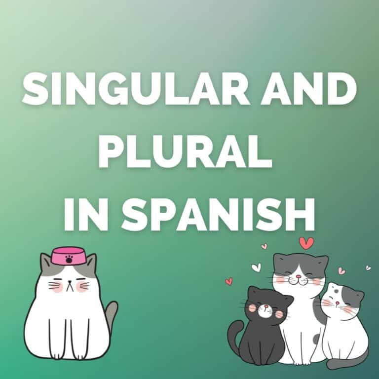 Lección de español: masculino y femenino, singular y plural