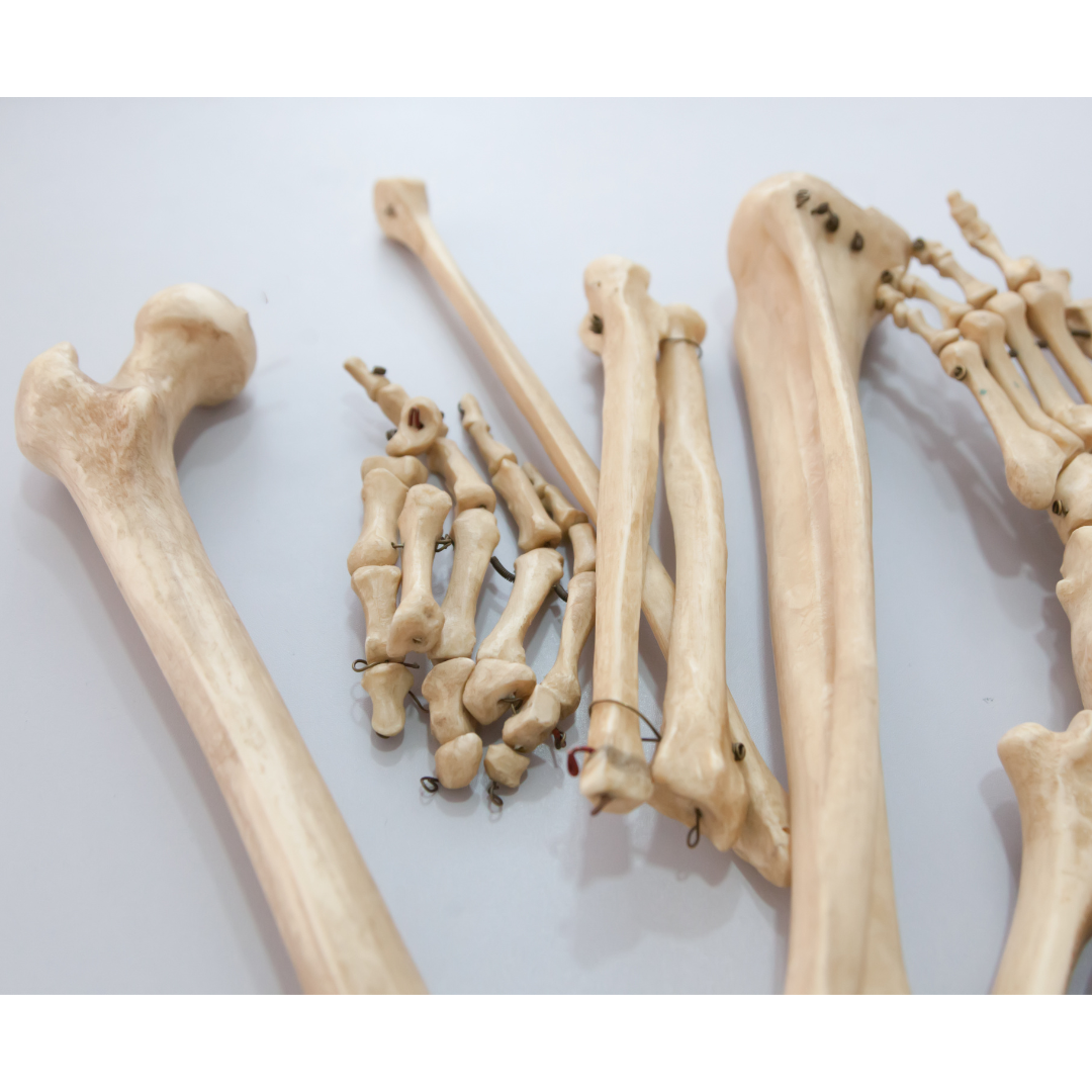 Vocabulario esencial en español para Semana Santa y Pascua